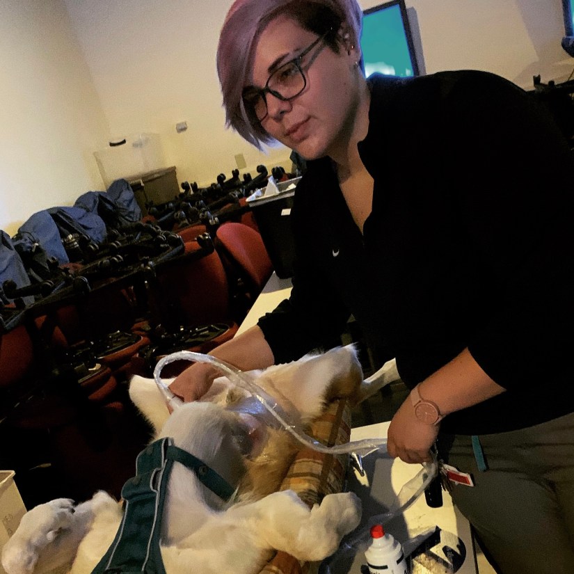 Dr. Megan Lyons – Hartschuh Veterinary Services